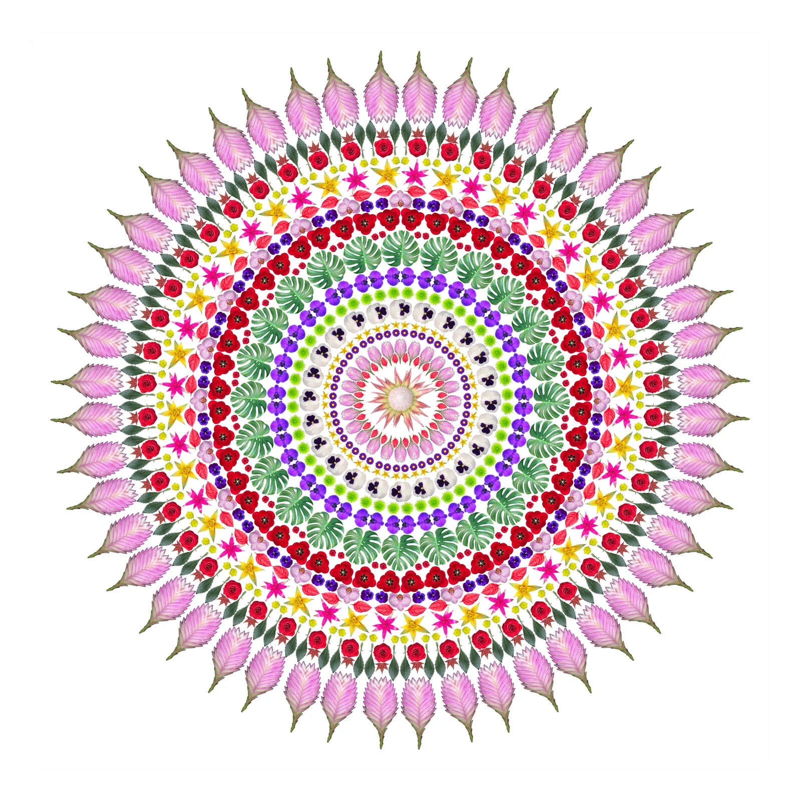 Flower Mandala Original Print | Chairish