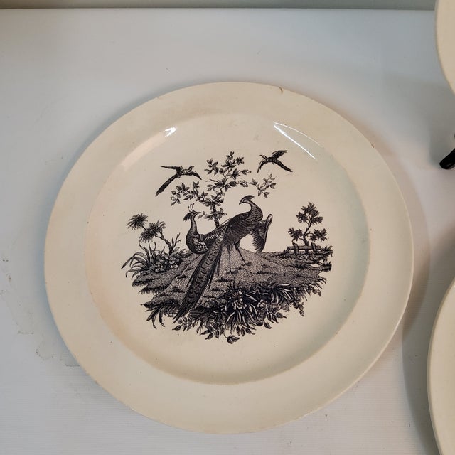 Set of 6 Liverpool Birds Etruria Dinner Plates by Wedgwood | Chairish