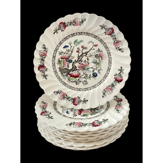 Set of 10 Myott Staffordshire Ware Indian Tree Dinner Plates. England ...
