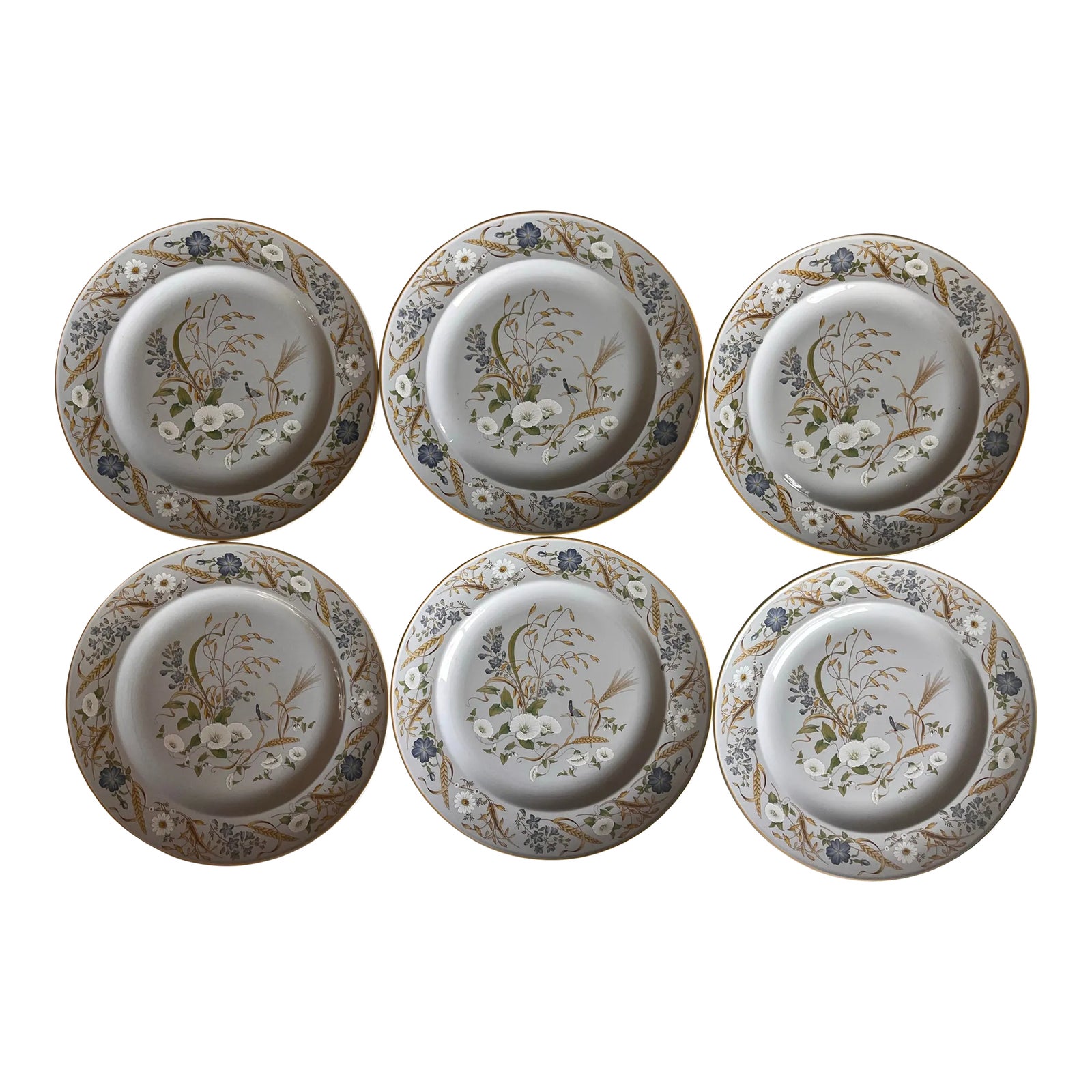 Spode Summer Harvest Dinner Plates - Set of 6 | Chairish