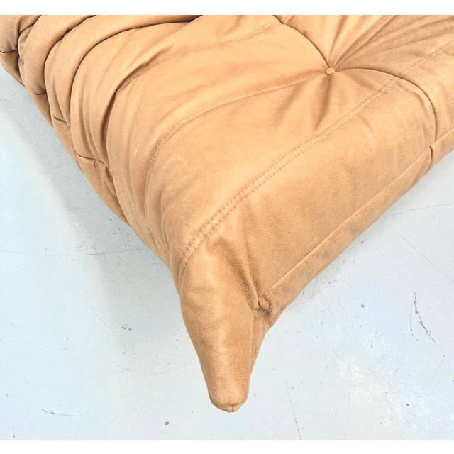 Vintage French Camel Leather Togo Lounge Chair by Michel Ducaroy for ...