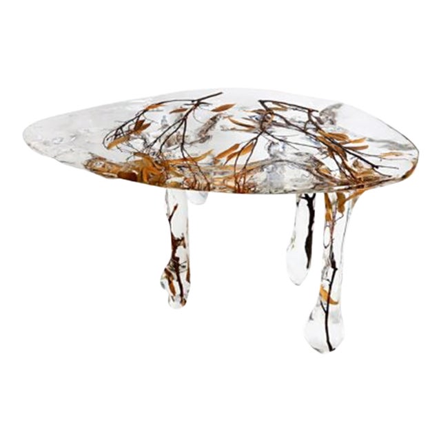 Stylish Crystal and Wooden Branch Coffee Table | Chairish