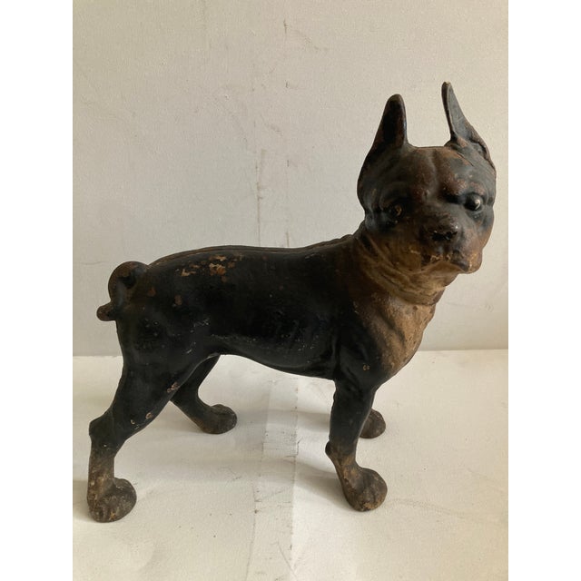Set of Three Hubley Cast Iron Boston Terrier Door Stops Circa 1910-1920 ...