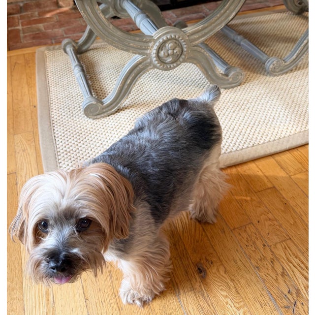 Custom French Neoclassic X-Style Benches in Heritage Yellow and Blue ...