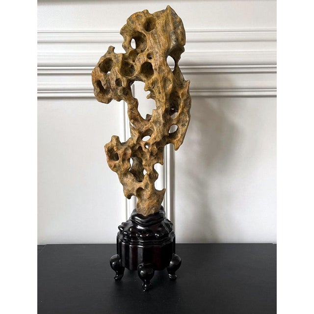Chinese Scholar Rock Yellow Taihu Stone on Wood Stand | Chairish