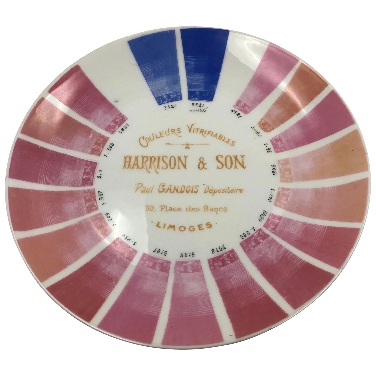 Early 20th Century Antique Porcelain Sample Plate | Chairish