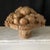 French Natural Carved Wood Centerpiece Fruit Cornucopia | Chairish
