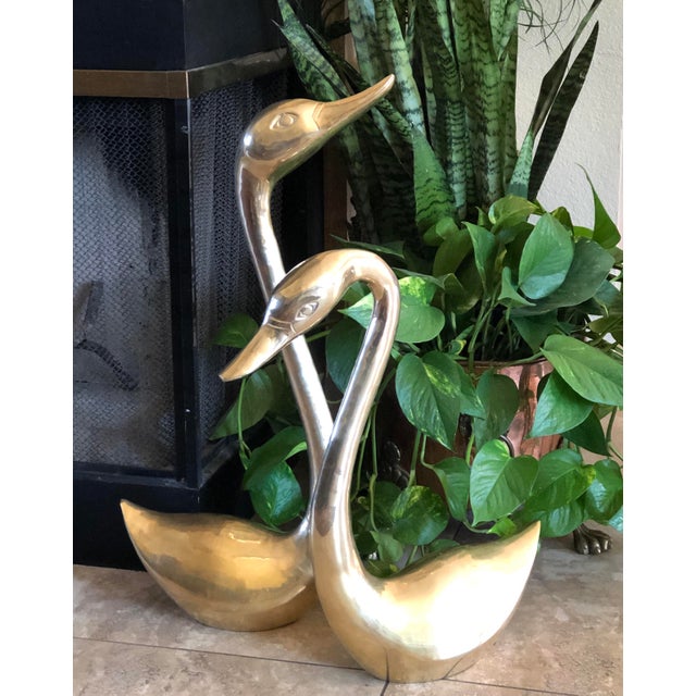 Mid Century Modern Brass Swans Large Polished -A Pair | Chairish