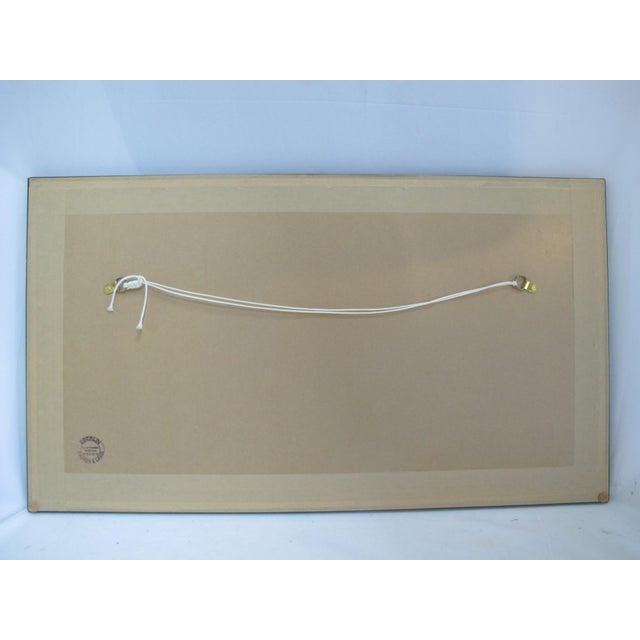 Garnier Freres 1879 Fournier Framed Hand Colored Trio Bird Engraving ...