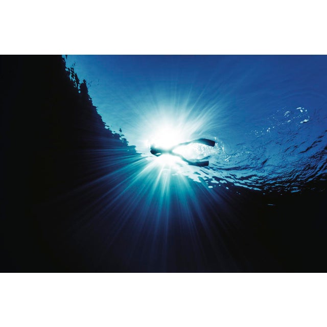 'Fulgor' Photography Print on Rag Paper with White Border by Enric ...