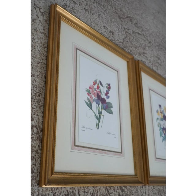 Set of 7 Gold Framed Botanical Prints | Chairish