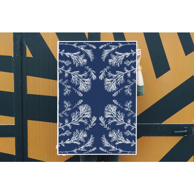 "Vintage Botanical Pressed Flowers Nº3", Botanical Cyanotype, Limited ...