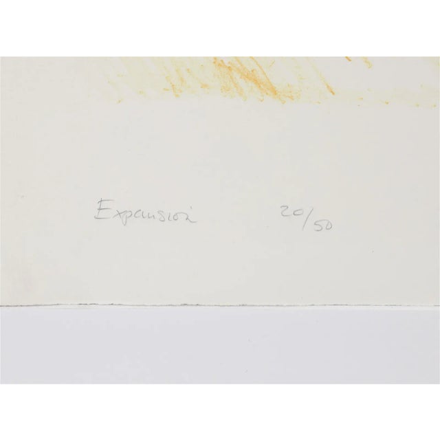 Susan Crile Expansion 1981 Modern Abstract Signed Lithograph | Chairish