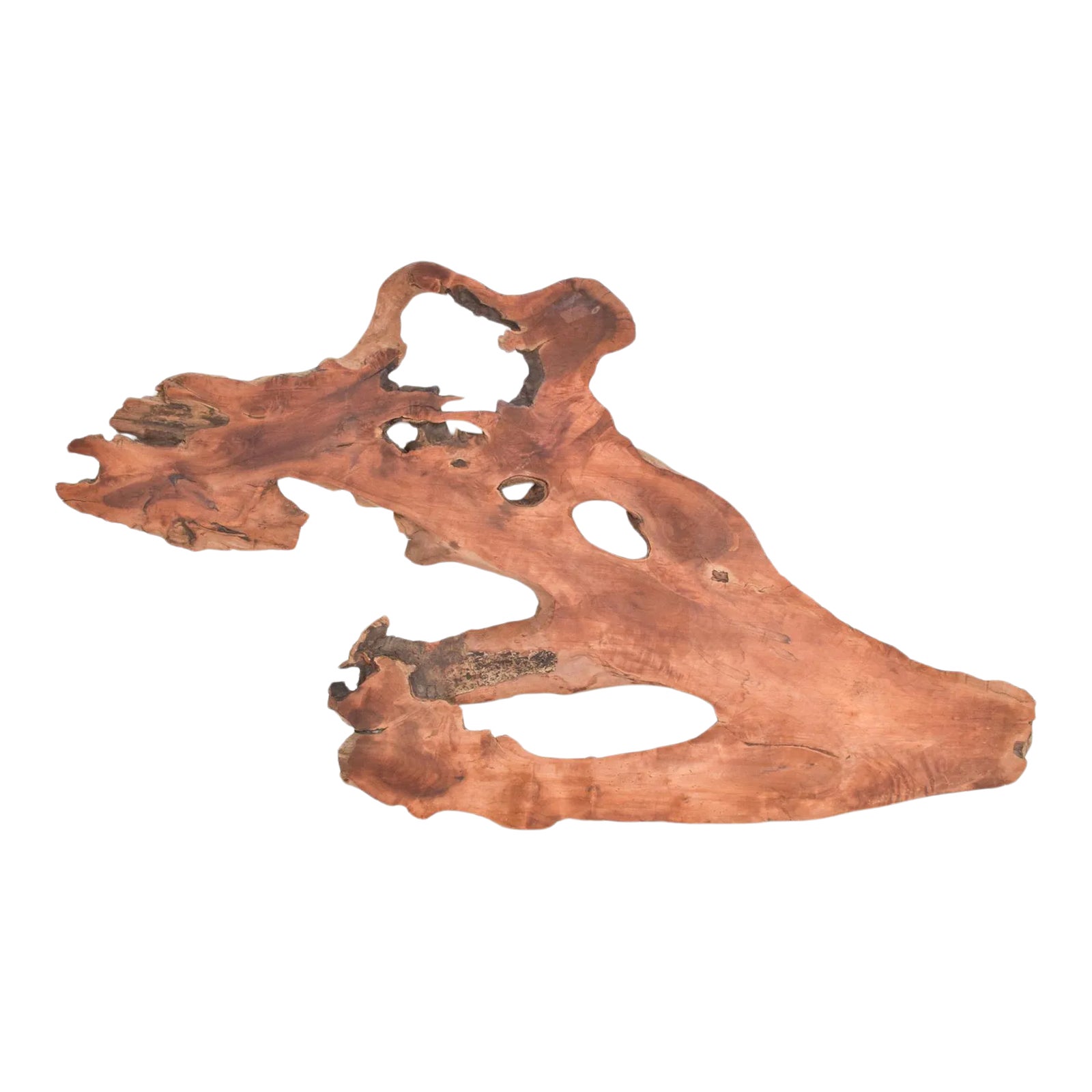 1960s Organic Raw Edge Slab Rustic Walnut Wood Root Sculpture Free Form ...