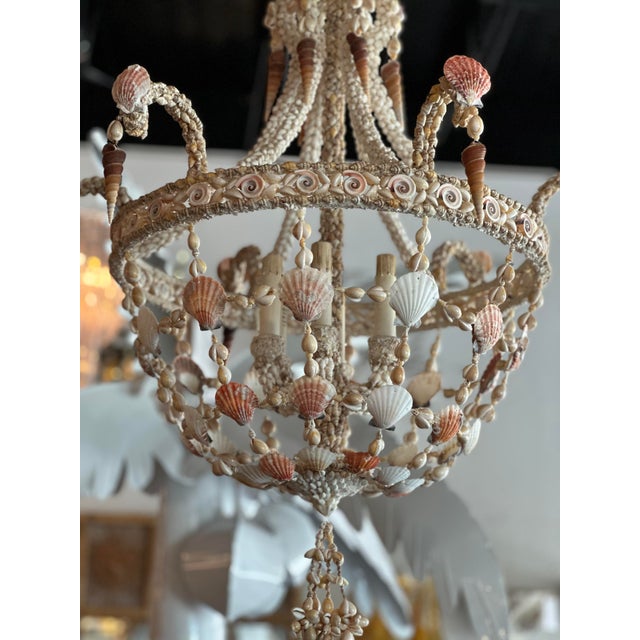 Vintage 6 Light Encrusted Seashell Shell Palm Beach Chandelier | Chairish