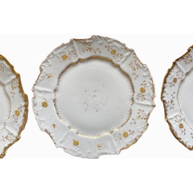 Antique Limoges Scalloped Gilt Plates -Set of 9 | Chairish