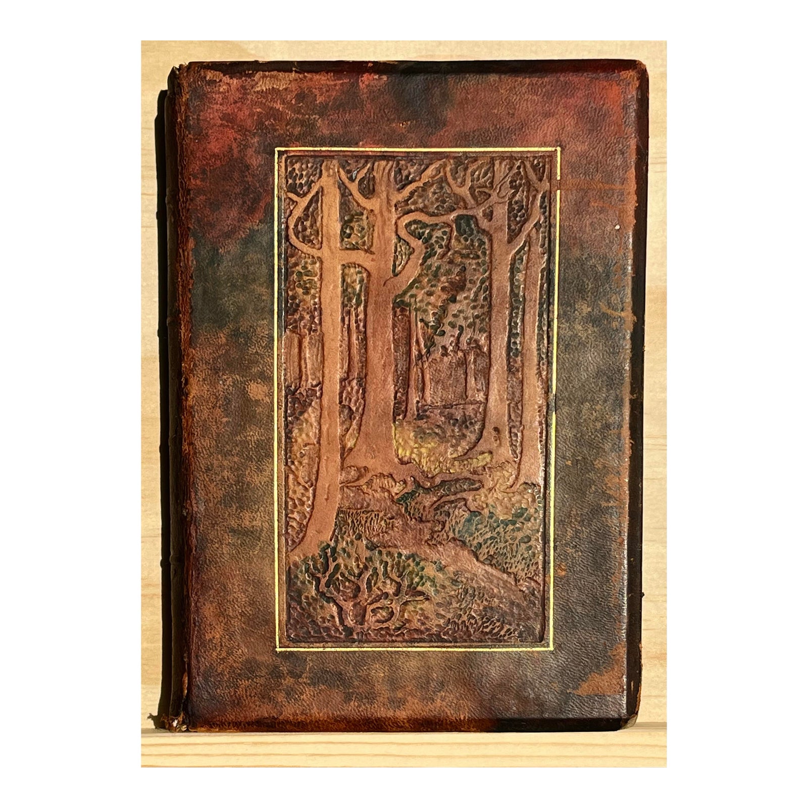 Embossed Leather Fine Binding Autograph Signed by the Author St ...