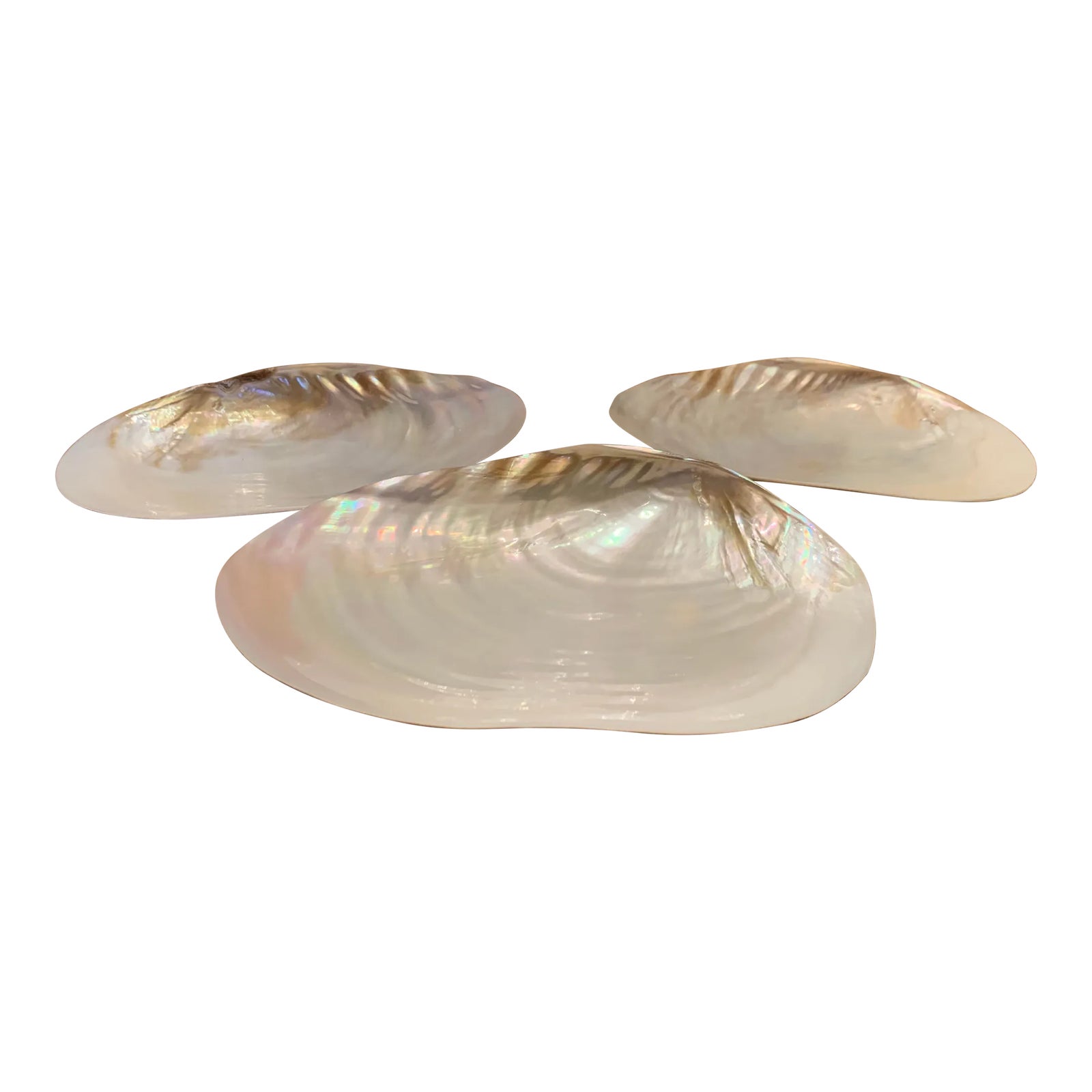1980s Shell Appetizer Dishes- Set of 3 | Chairish