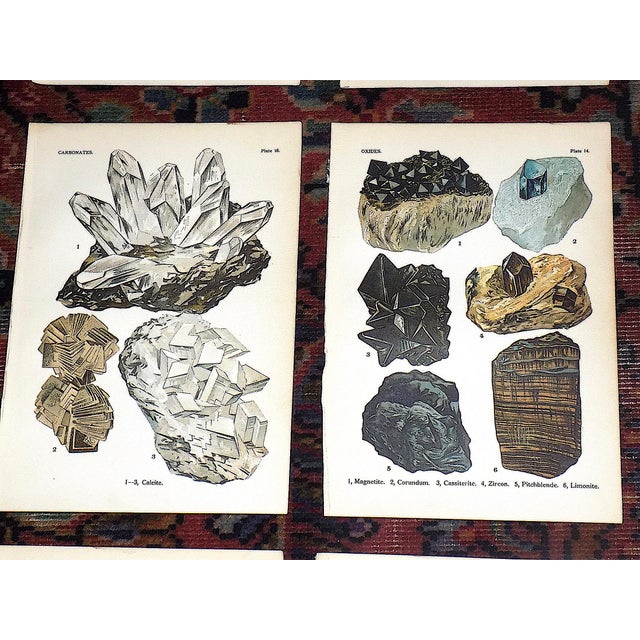 Antique 1911 Mineral Lithograph Collection - Set of 12 | Chairish
