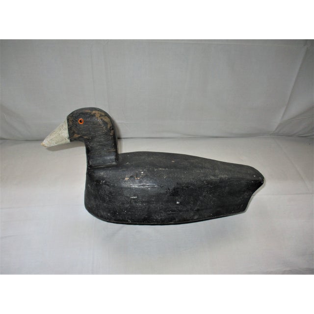 Antique Wooden Duck Decoy American Coot Black With White Bill Glass ...