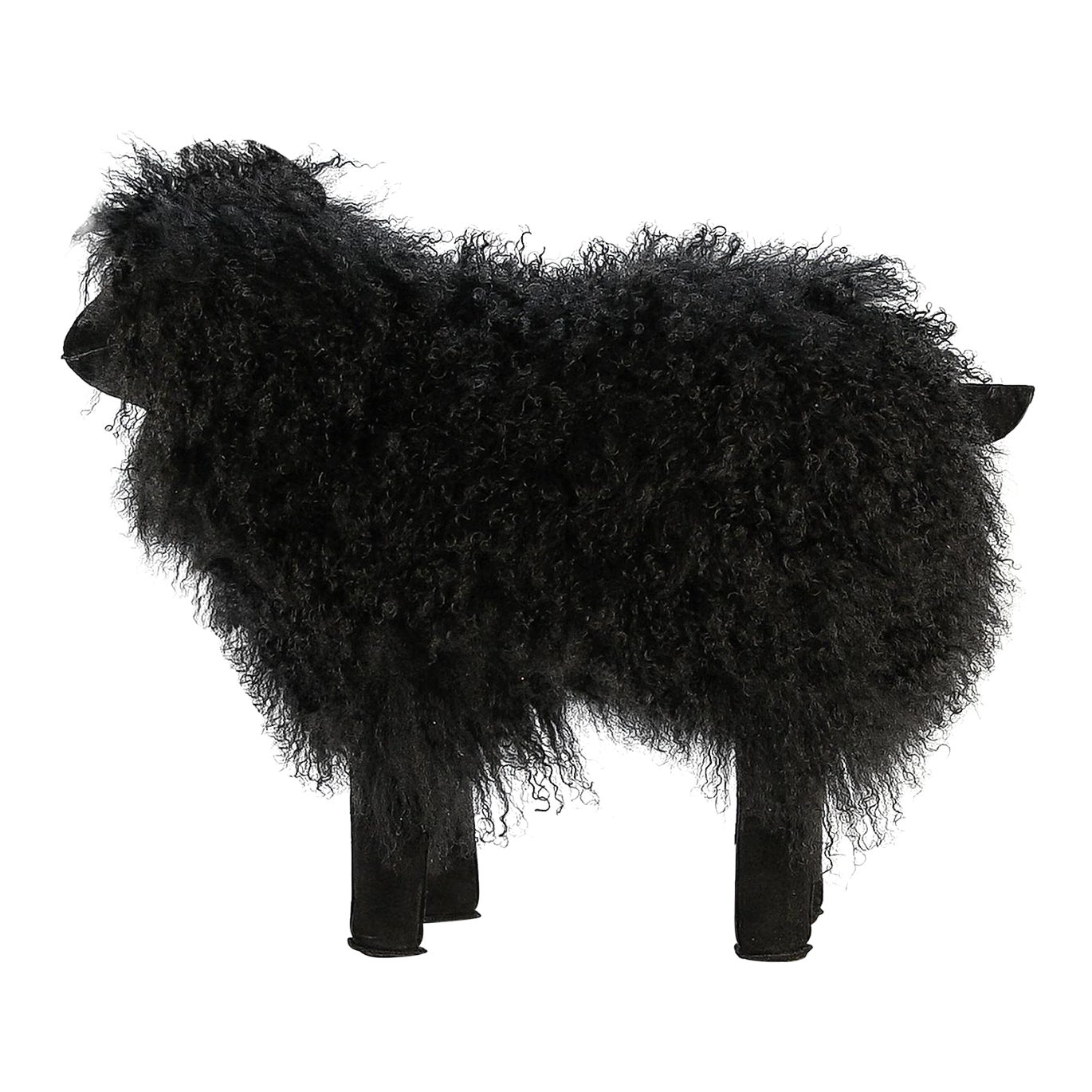 Tibetan Lamb Sheep in Black, Medium | Chairish