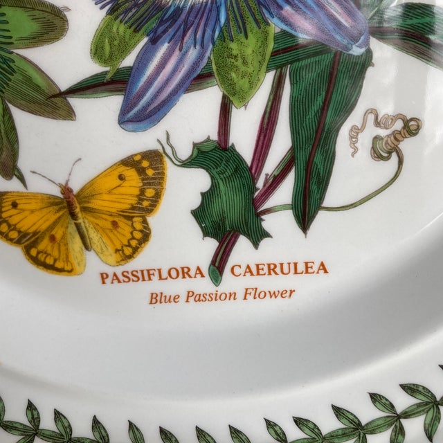 1990s Portmeirion Botanic Garden by Susan Williams-Ellis England Dinner ...