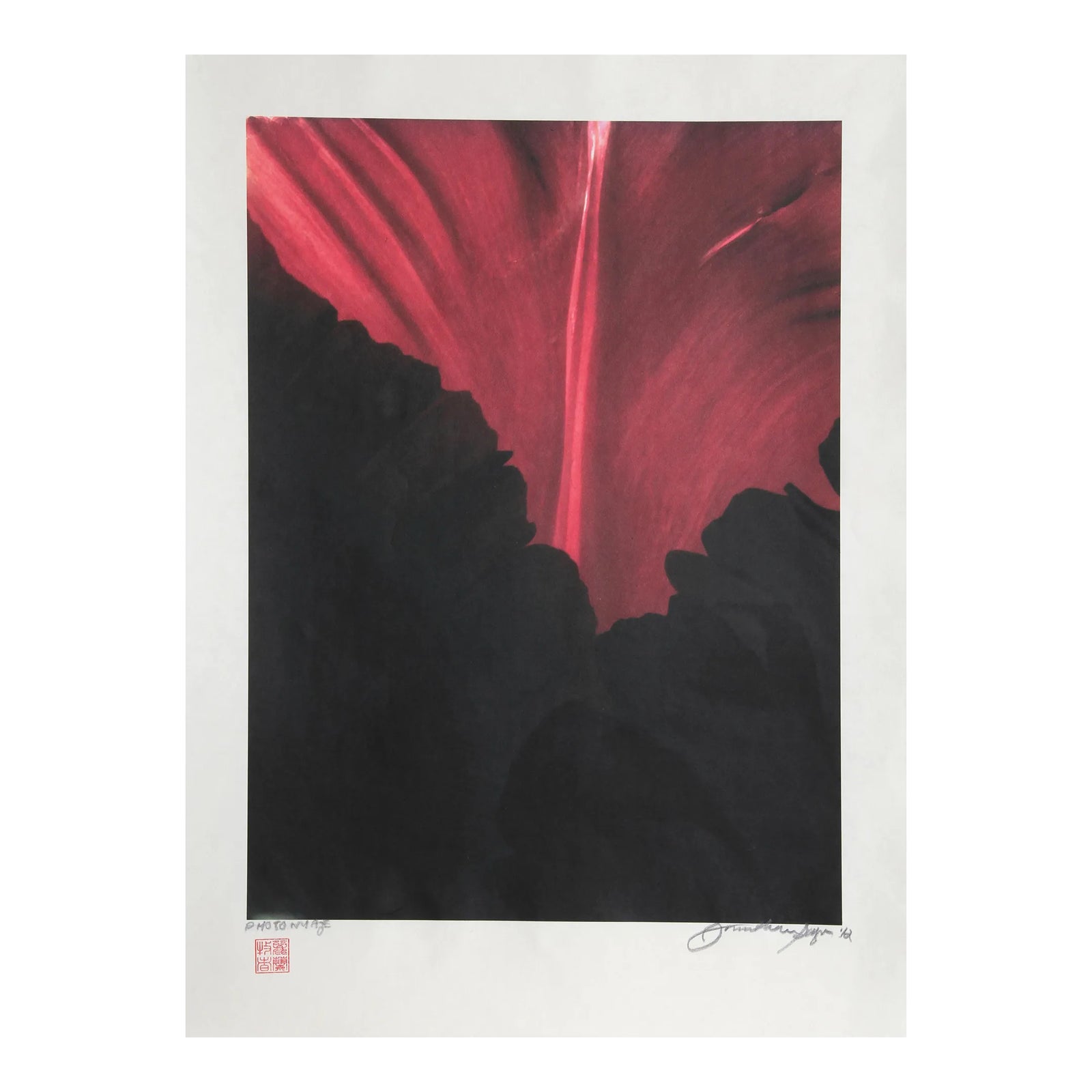 Fuschia Silhouette, Jonathan Singer, Photography | Chairish