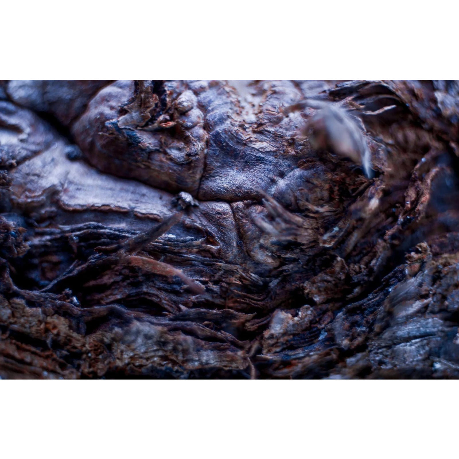 Marko Milić, Hydra, Abstract Photography | Chairish