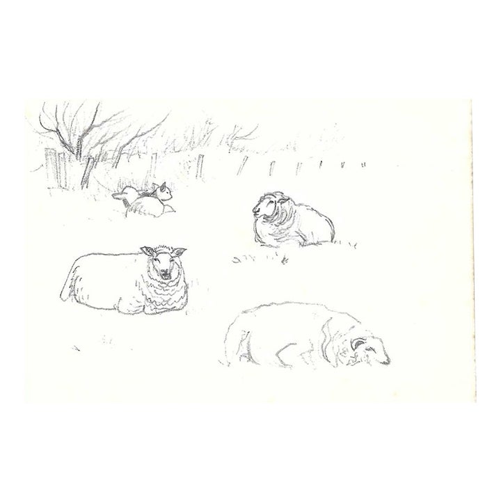 Robert Angeloch German Sheep Landscape Drawing | Chairish