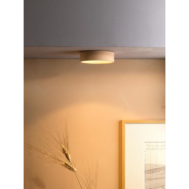 Teo Recessed Spotlight in Beige by Plato Design | Chairish