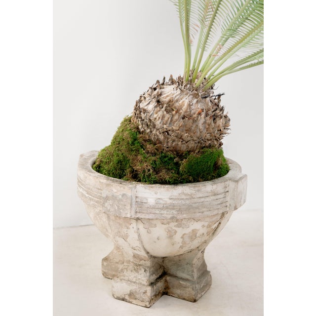 Antique Cast Concrete Planter | Chairish