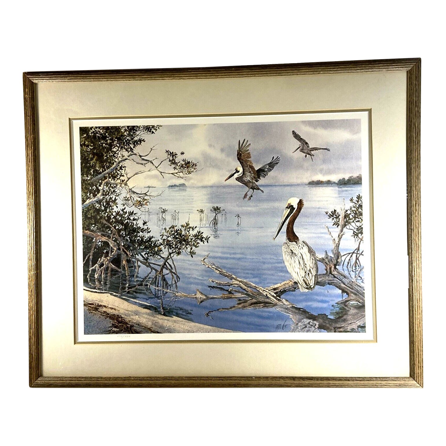 Phil Capen Limited Edition Lithograph Print 670 of 950 Florida Pelican ...