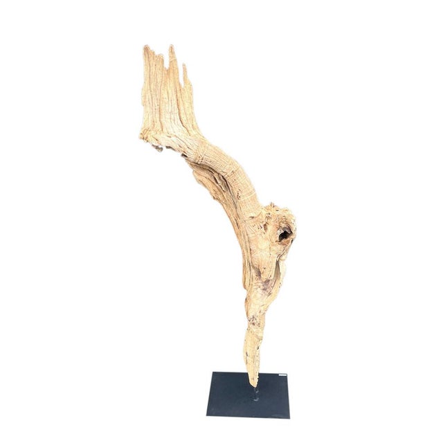 Antique Driftwood On Metal Stand | Chairish
