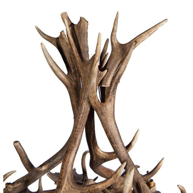 Horn Chandelier | Chairish