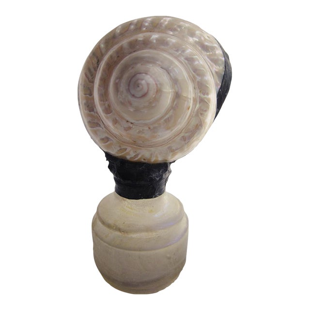 Artisan Shell Sculpture | Chairish