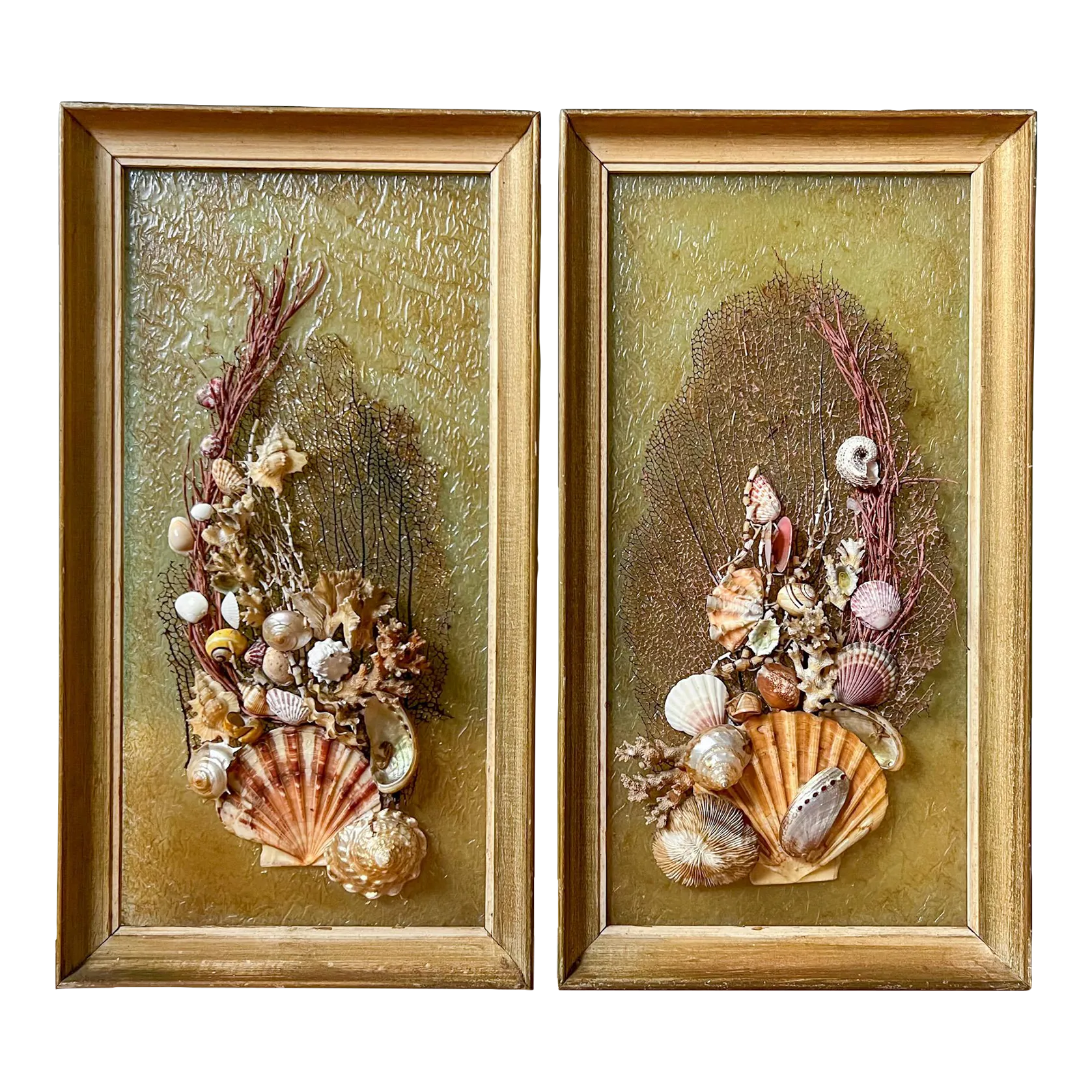 framed shell pictures