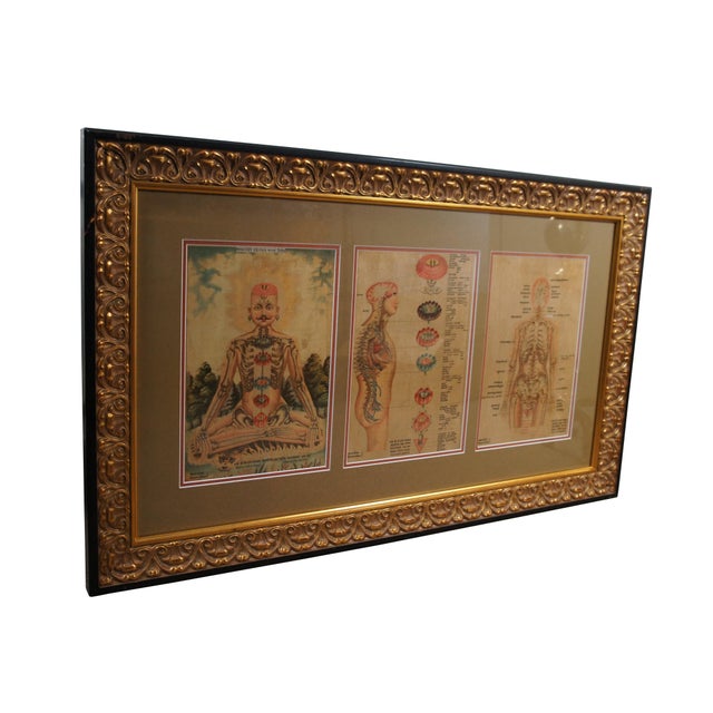 Antique Indian Kundalini Hindu Sanskrit Chakras Anatomical Triptych ...