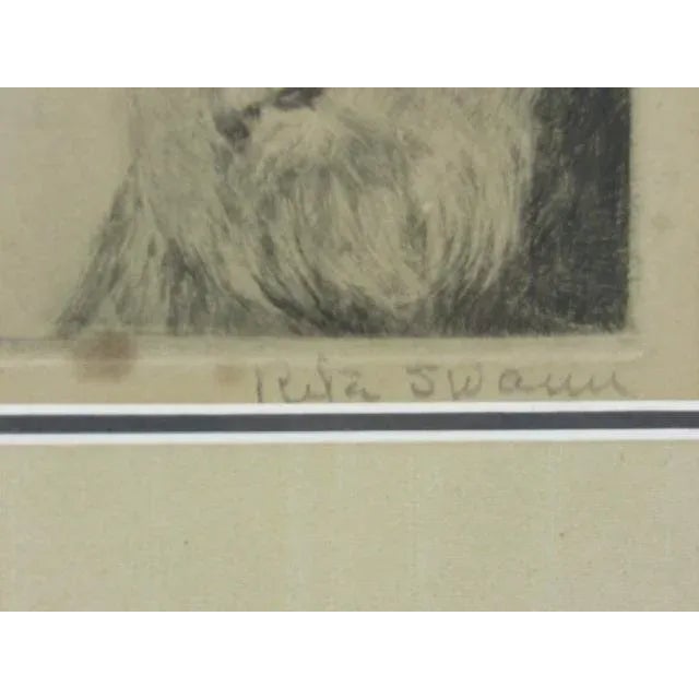 Vintage Schnauzer Etching by Rita Swann | Chairish
