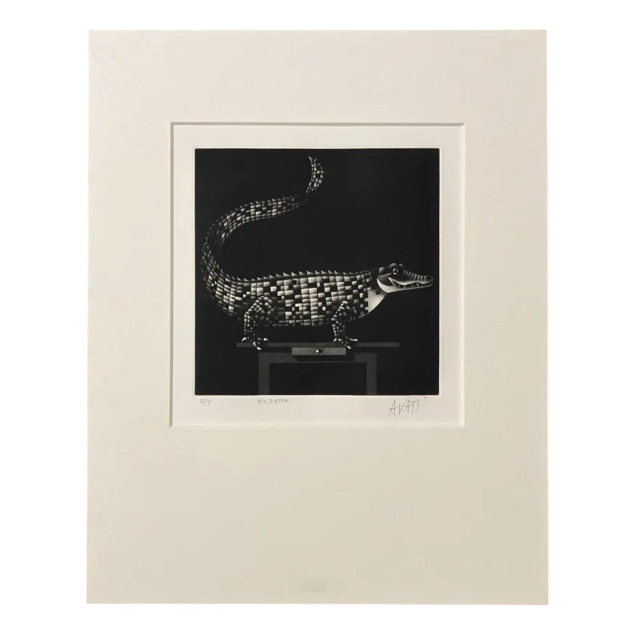 Mario Avati, Alligator, 1970, Mezzotint Print | Chairish