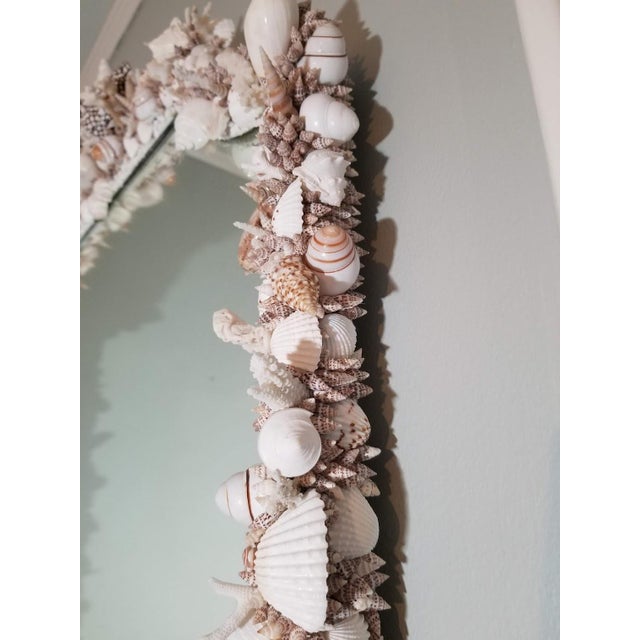 Handmade Natural Sea Shell Encrusted Wall Mirror | Chairish