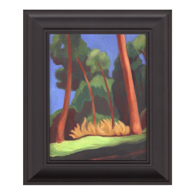 Wildcat Canyon Park in Northern California by Linda Ruiz Lozito | Chairish