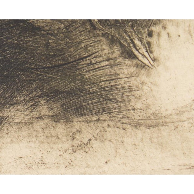 1965 Limited Edition Etching of a Bird by Robert Ernst Marx | Chairish