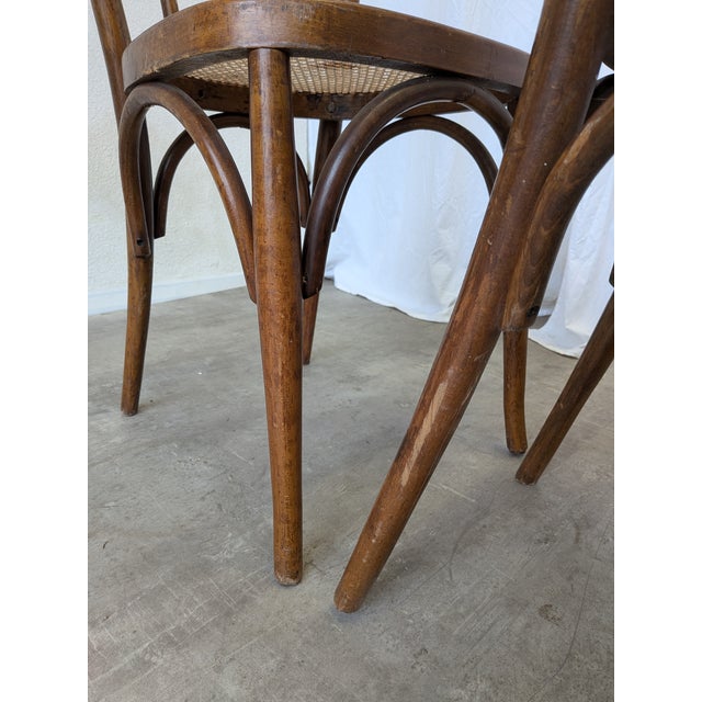 Vintage Dining Chairs with Bentwood Cane Seat, 1970s, Set of 4 | Chairish