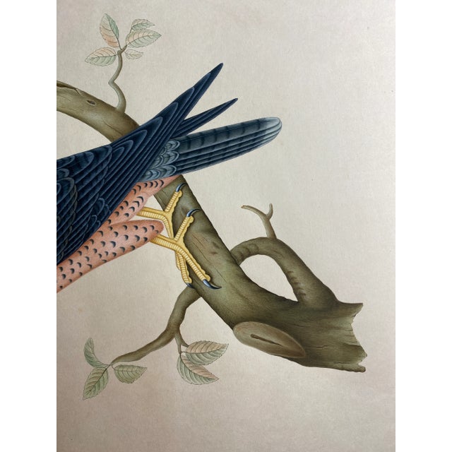 Folcon Miniature Painting on Paper , Original Hawk Artwork | Chairish