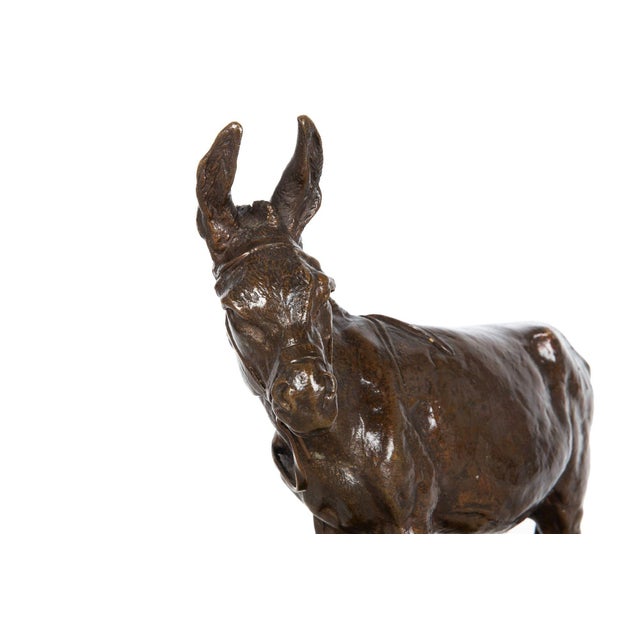 French Antique Bronze Sculpture of “African Donkey” by Auguste Cain ...