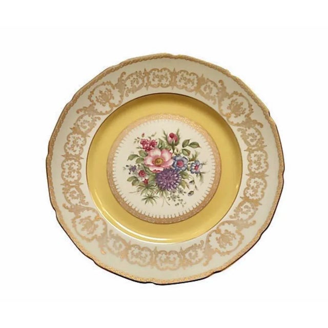 Continental Ivory Dinner Plates - Set of 12 | Chairish