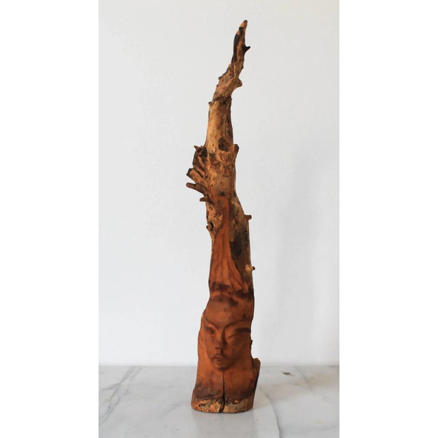 Vintage Hand Carved Tree Root Wood Abstract Art Sculptures S/5 | Chairish