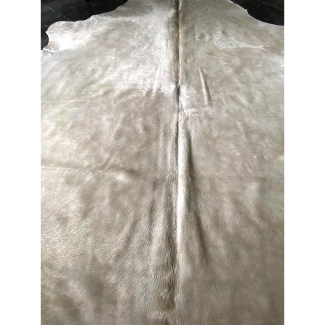 Natural Blonde Brazilian Cowhide Rug | Chairish