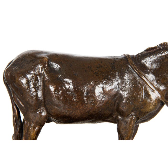 French Antique Bronze Sculpture of “African Donkey” by Auguste Cain ...