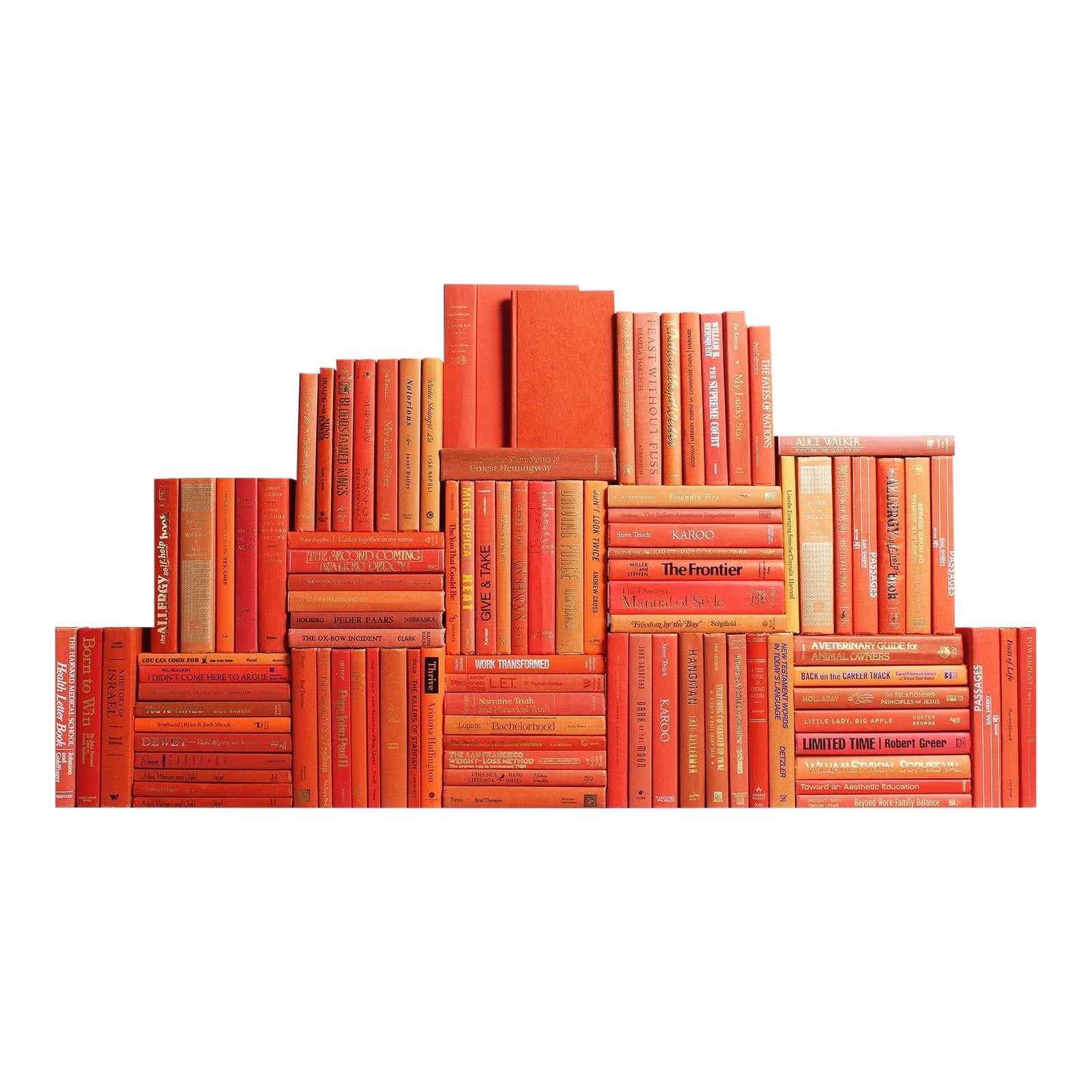 Decorative Books - Grove Book Wall - Set of 100 Orange Books | Chairish